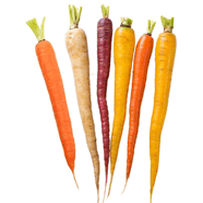 CAROTTE : Mini carottes multi-couleurs : 200 g - Livraison à domicile ...
