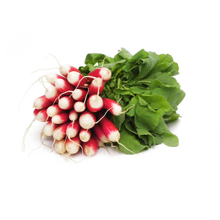 RADIS : Radis botte : 1 botte | Livraison à domicile et Drive | Chronodrive