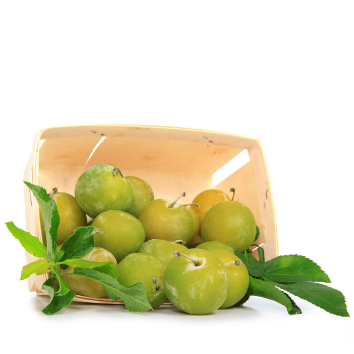 PRUNE : Prune Reine claude